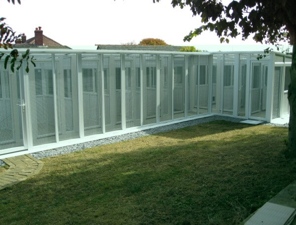 Cat Willows Boarding Cattery - Pedigree Pens Ltd