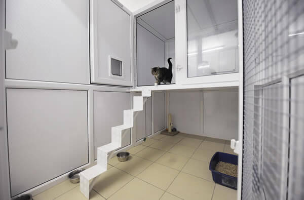 Ivy Boarding Cattery - Pedigree Pens Ltd