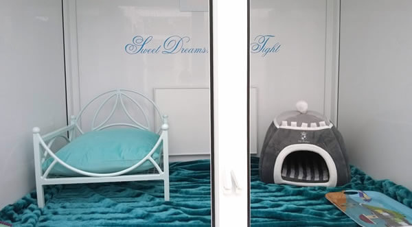 Amberley Cattery | uPVC Cattery | Cat Pens | Derbyshire