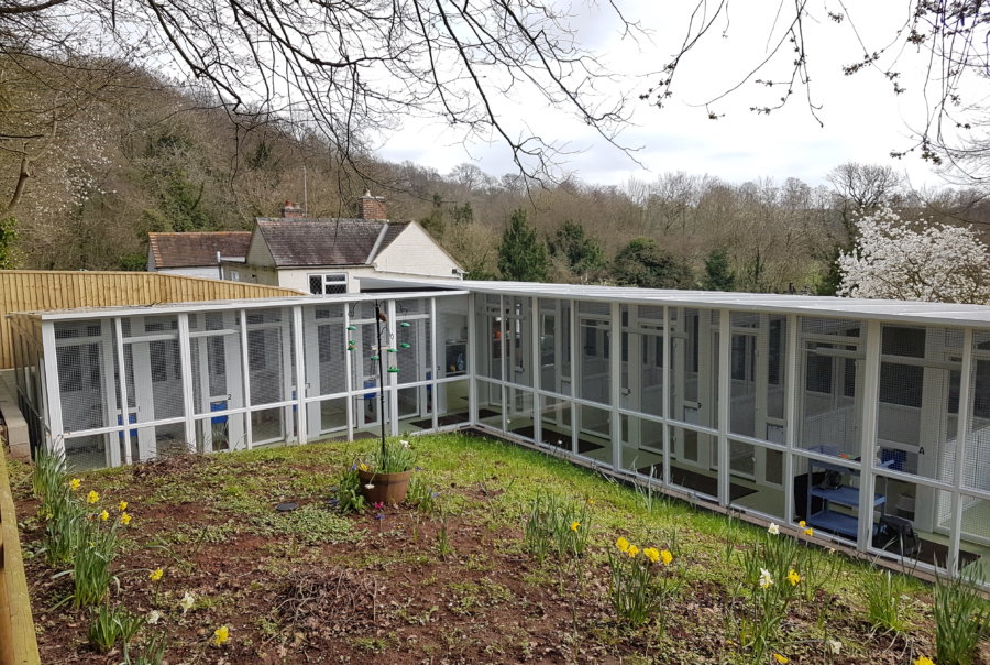 Catteries | Provided by Pedigree Pens Ltd. | uPVC Cat Pens