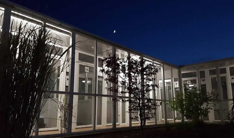 Catteries | Provided by Pedigree Pens Ltd. | uPVC Cat Pens