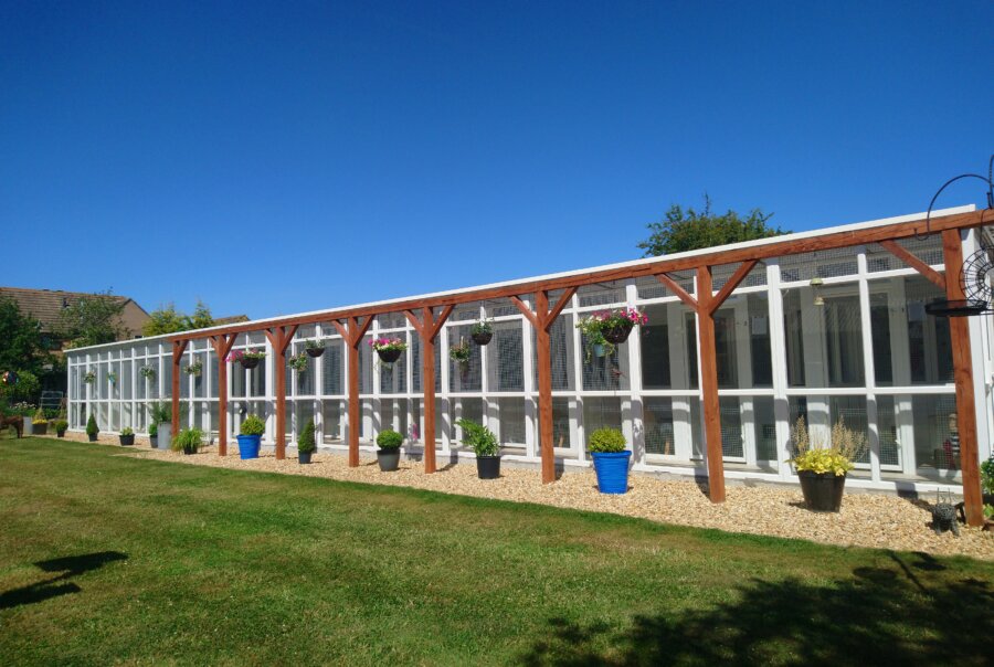 Catteries | Provided by Pedigree Pens Ltd. | uPVC Cat Pens