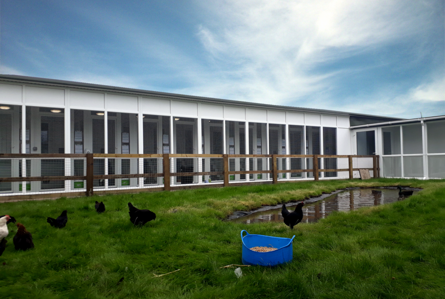 Rescue Cattery Pens | Pedigree Pens Ltd. | uPVC Cat Runs