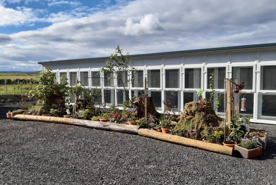 Cattery Manufacturer - No1 for uPVC Catteries and Kennels - Pedigree ...